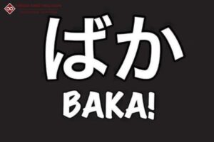 Baka Là Gì? Những Điều Cần Biết Và Cách Sử Dụng Đúng